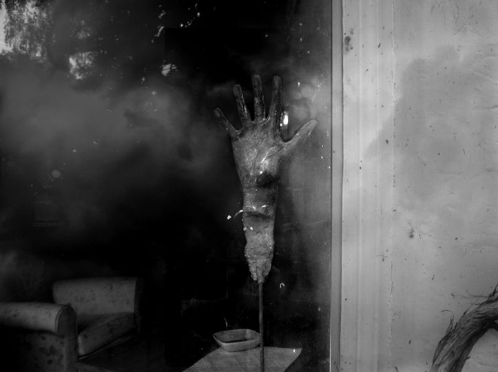 Monika K. Adler – 'Coyote' - The Eye of Photography Magazine