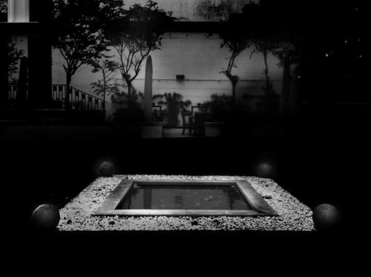 Monika K. Adler – 'Coyote' - The Eye of Photography Magazine