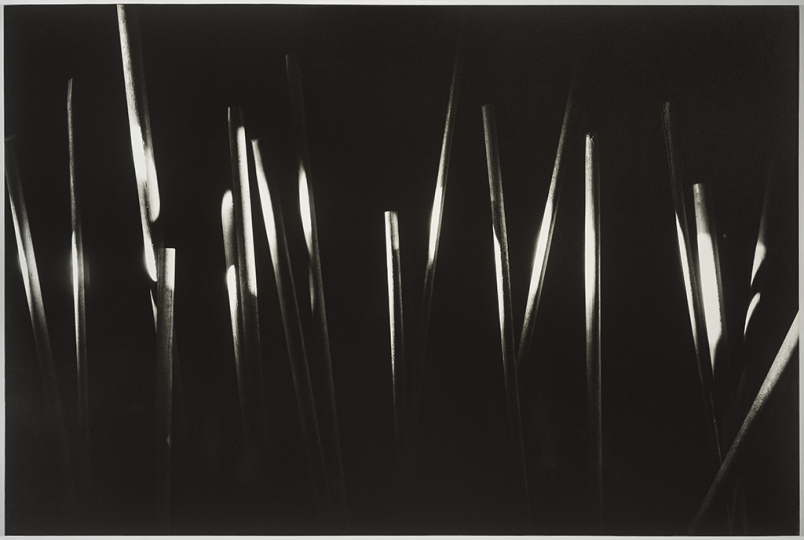 Nathan Lerner (1913-1997): Photographs - The Eye of Photography Magazine