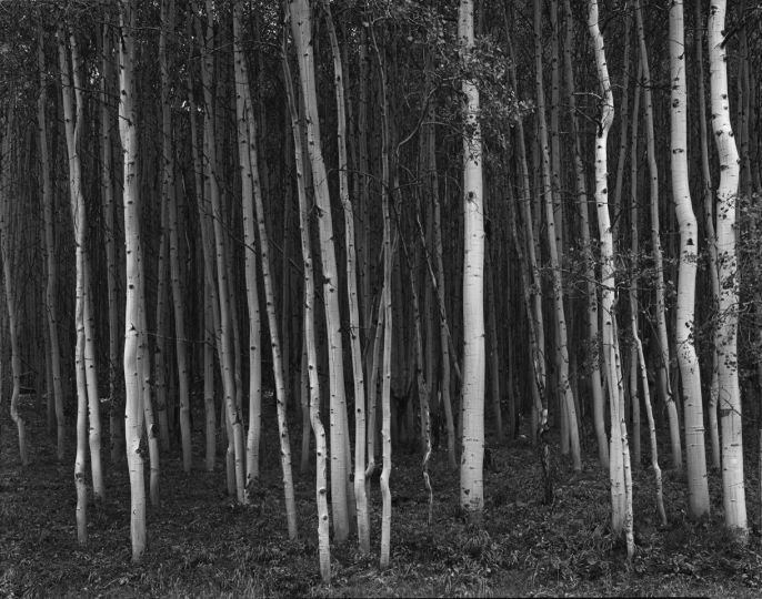 George Tice, A celebration - The Eye of Photography Magazine