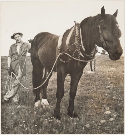 Sid Grossman: Photography, Politics, and the Ethical Image - The Eye of ...