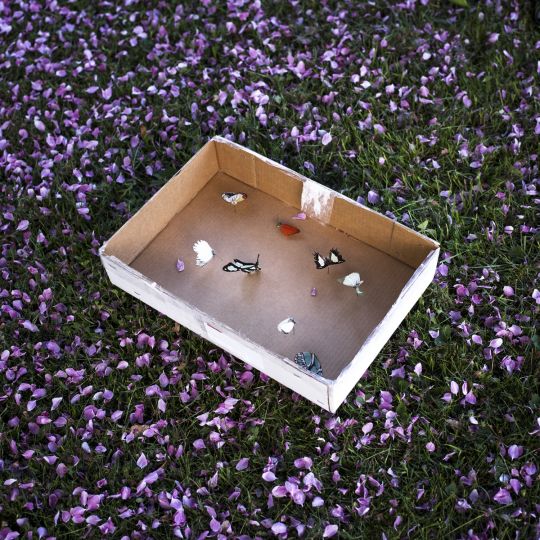 Cig Harvey - Lauréate du Prix Virginia 2018 - L'Œil de la Photographie ...