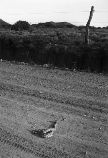 Bernard Plossu - American escapes, Unpublished works - The Eye of ...