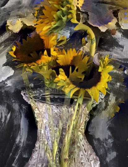 Abelardo Morell - Des fleurs pour Lisa II - L'Œil de la Photographie ...