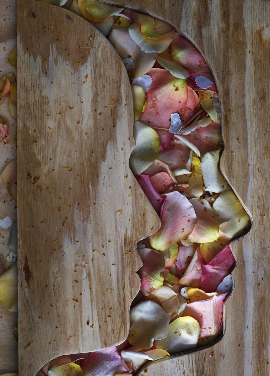 Abelardo Morell - Des fleurs pour Lisa II - L'Œil de la Photographie ...