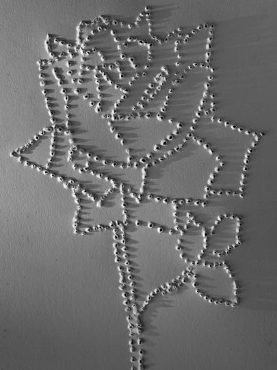 Abelardo Morell - Des fleurs pour Lisa II - L'Œil de la Photographie ...