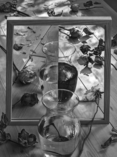 Abelardo Morell - Des fleurs pour Lisa II - L'Œil de la Photographie ...