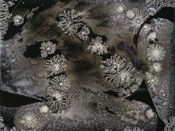 Michael Koerner, My DNA - The Eye of Photography Magazine