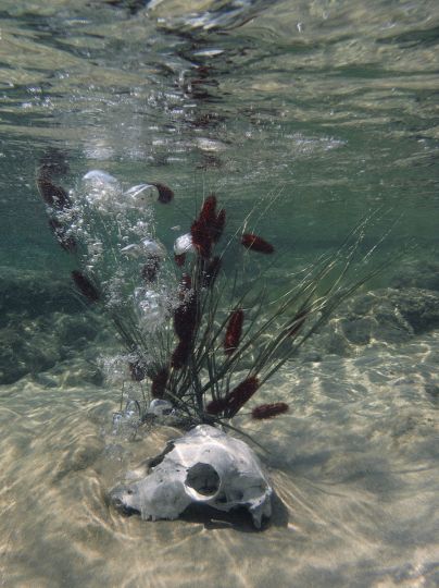 Maria Mahou, Sea - The Eye of Photography Magazine