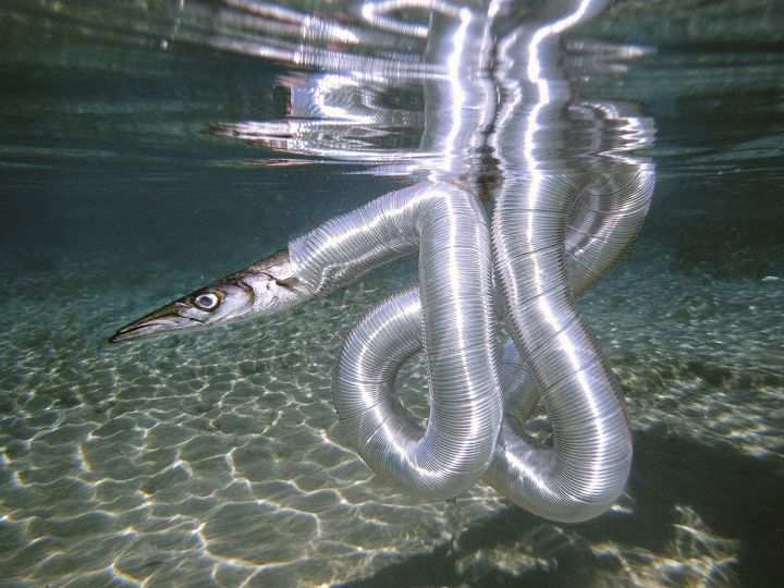 Maria Mahou, Mer - L'Œil de la Photographie Magazine