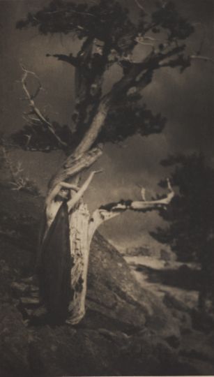 Anne Brigman: A Visionary In Modern Photography - The Eye of ...