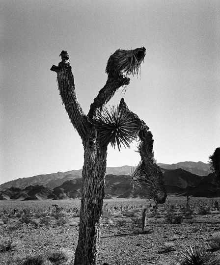 John R. Pepper: Déserts Habités - L'Œil de la Photographie Magazine
