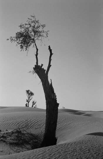 John R. Pepper: Déserts Habités - L'Œil de la Photographie Magazine