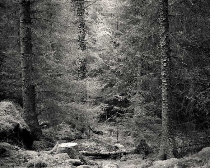 Alys Tomlinson : Ex-Voto - The Eye of Photography Magazine