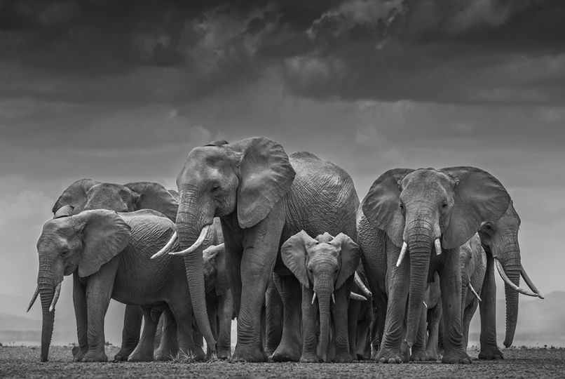 David Yarrow: Off Road and After Hours - The Eye of Photography Magazine