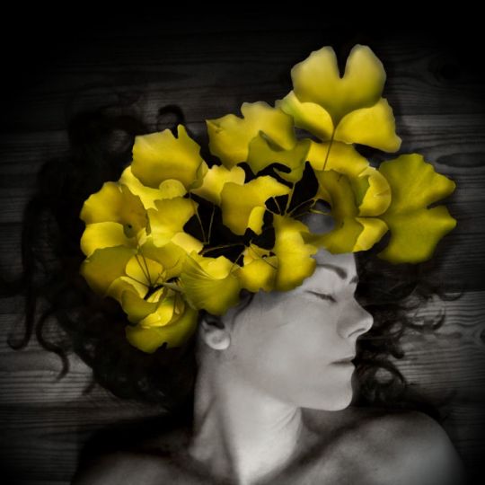 Paula Goddard - The Things That Live In My Head - The Eye of ...