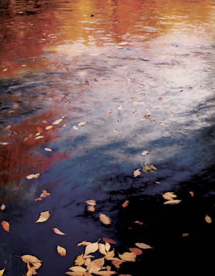 Eliot Porter : Vintage Works - The Eye of Photography Magazine