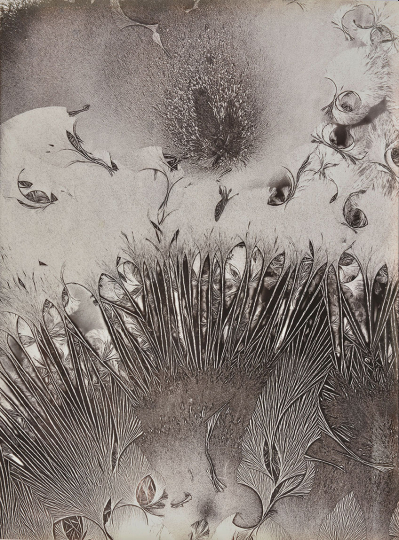 Jean-Pierre Sudre - The Eye of Photography Magazine