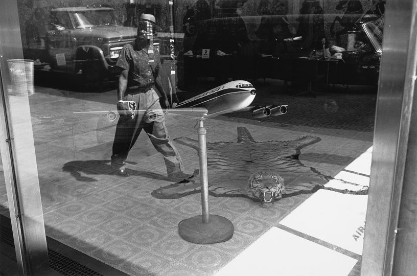 Lee Friedlander : Friedlander First Fifty - L'Œil de la Photographie ...