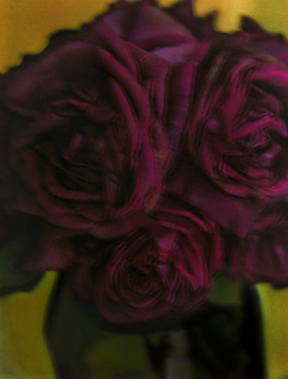 Valentine's Day Encore! Peter Fetterman Gallery - The Eye of ...