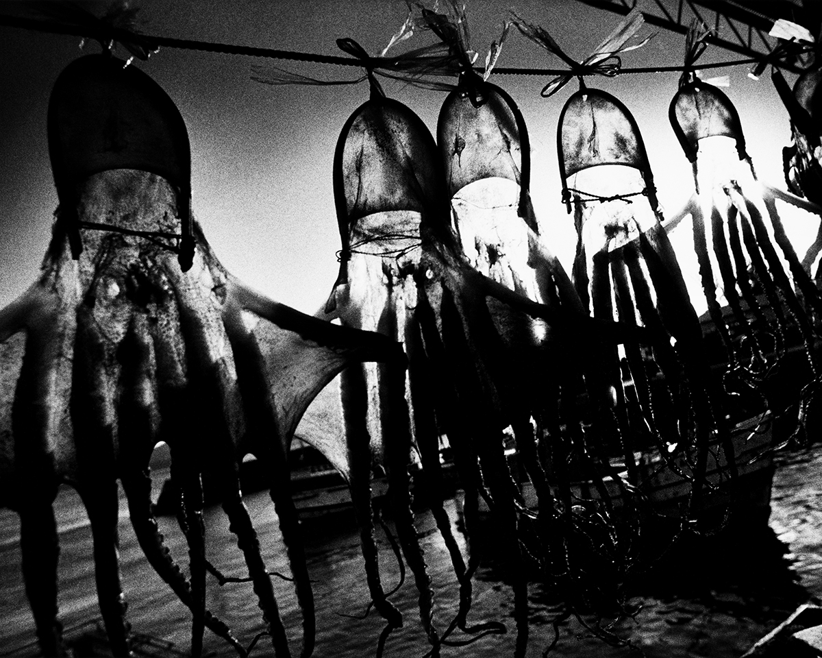 Daido Moriyama : A Diary - The Eye of Photography Magazine