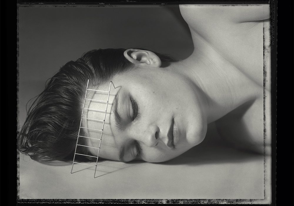 Frazier King : LOeil du Collectionneur - Le Point de Vue d'un ...