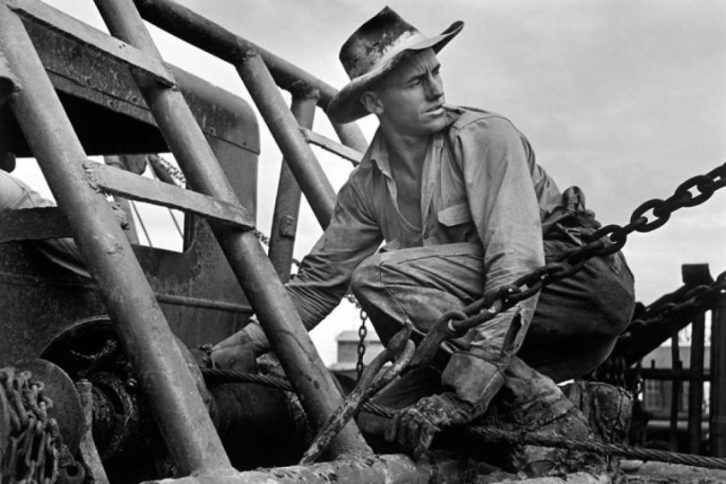 Monroe Gallery of Photography : La Vie sur Terre - L'Œil de la ...