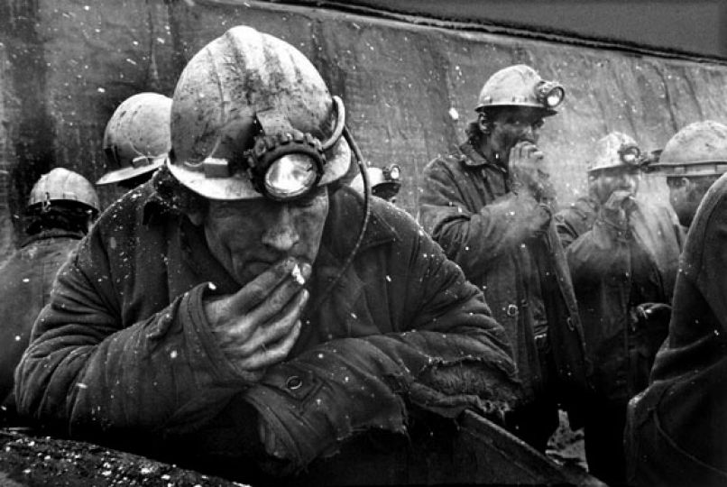 Monroe Gallery of Photography : La Vie sur Terre - L'Œil de la ...