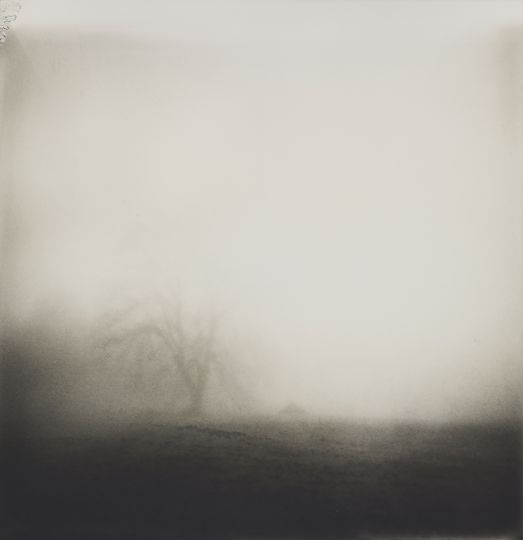 Emmanuelle Bousquet : Sous une pierre amante - The Eye of Photography ...