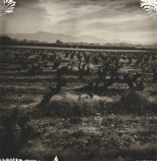 Emmanuelle Bousquet : Sous une pierre amante - The Eye of Photography ...