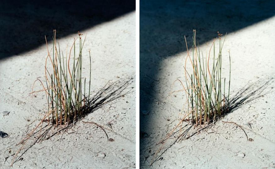 Guido Guidi : Worthless Things - The Eye of Photography Magazine
