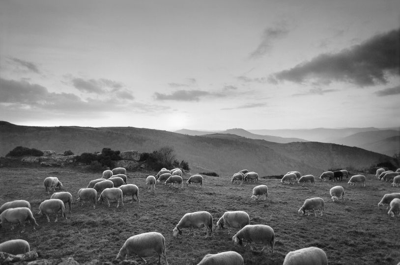 Fondation Cartier : Raymond Depardon : Rural - L'Œil de la Photographie ...