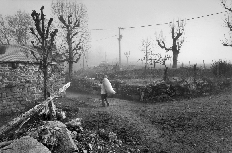 Fondation Cartier : Raymond Depardon : Rural - L'Œil de la Photographie ...