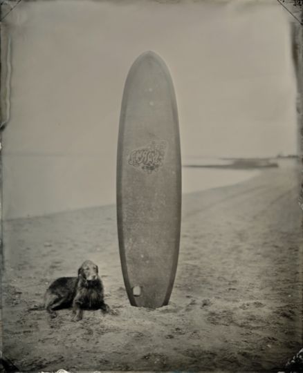 Von Lintel Gallery : Joni Sternbach : Surfboard - The Eye of ...
