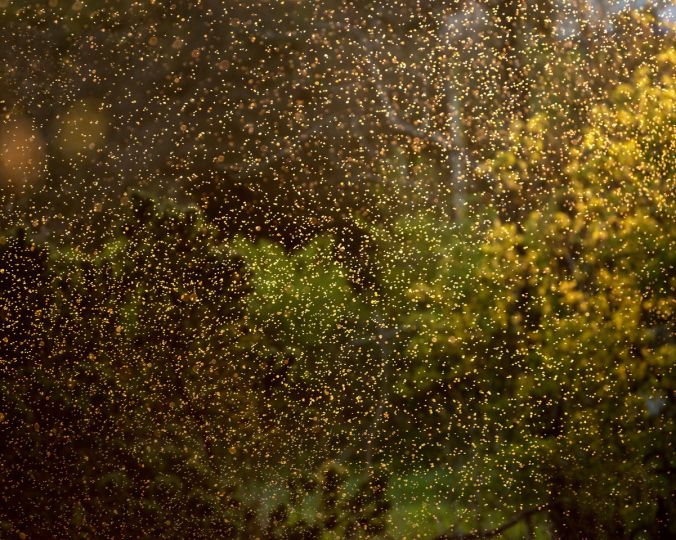 Robert Darch : Vale - L'Œil de la Photographie Magazine