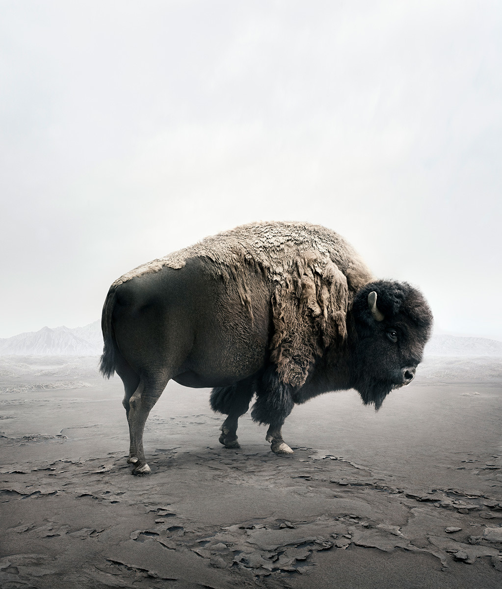 Alice Zilberberg - The Eye of Photography Magazine