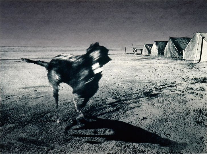 Best Of 2021 : STEIDL : Jo Ractliffe : Photographs : 1980s to now - The ...
