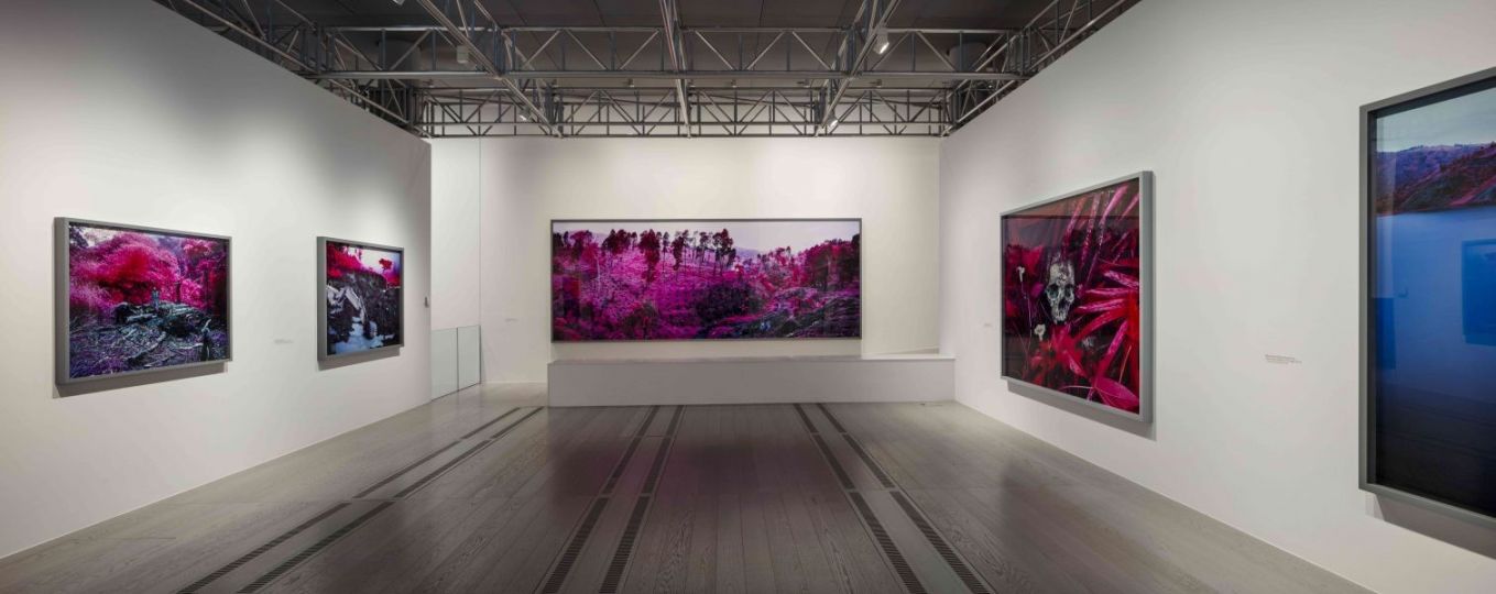 Galerie Ceysson & Bénétière : Aurélie Pétrel, latence magique - L'Œil ...