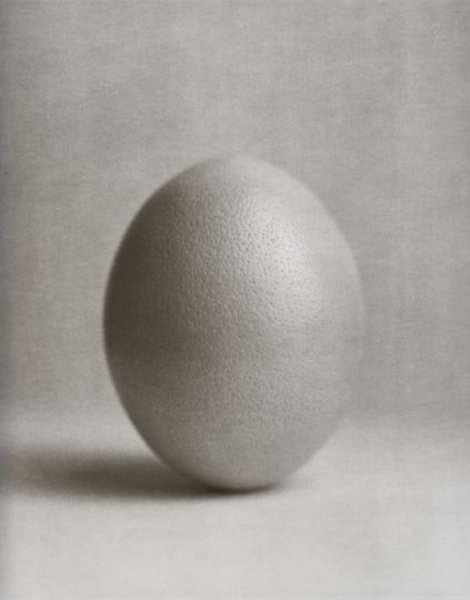Arles 2021: Cédric Porchez : Favorite of Thierry Maindrault - The Eye ...