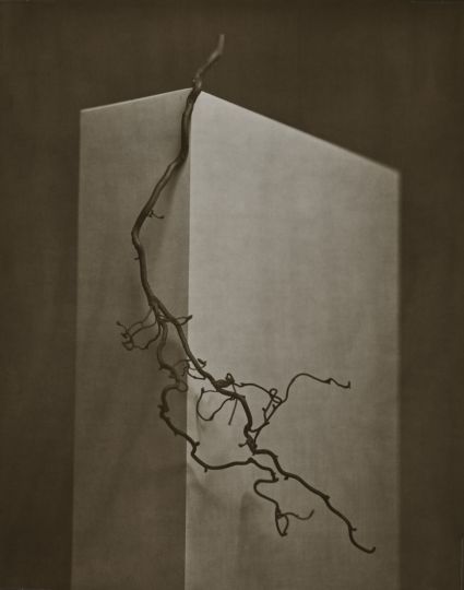 Arles 2021: Cédric Porchez : Favorite of Thierry Maindrault - The Eye ...