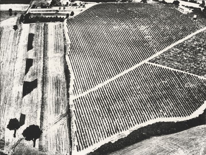 The Getty Center Museum : Mario Giacomelli : Figure|Ground - The Eye of ...