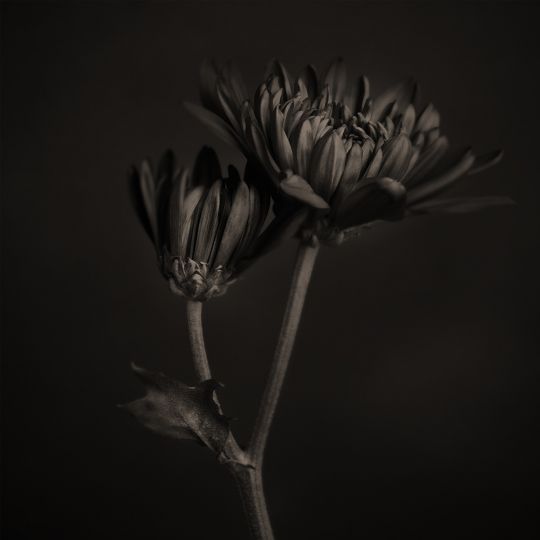 Marcelo Troche - The Eye of Photography Magazine