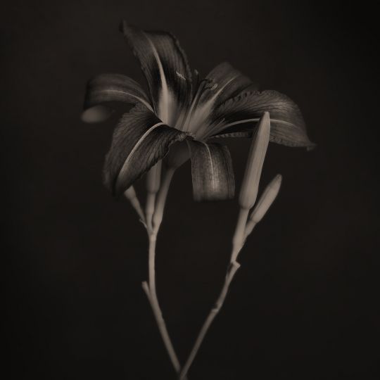 Marcelo Troche - The Eye of Photography Magazine