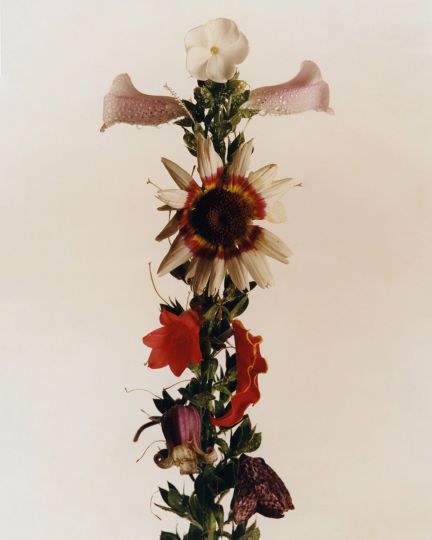 Fotografiska New York : Cho Gi-Seok : Coexistence - L'Œil de la ...