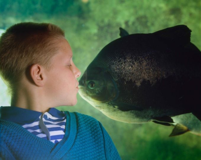 Neal Slavin : A Kodak Moment - The Eye of Photography Magazine