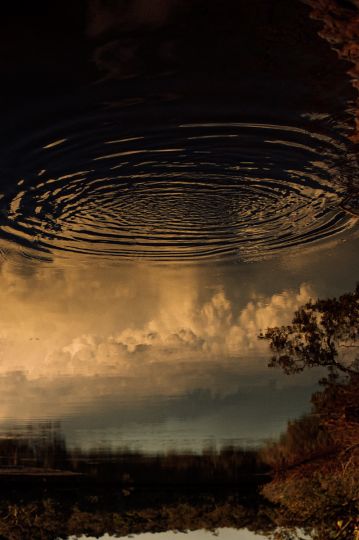 Homecoming Gallery : Lisa Sorgini - The Eye of Photography Magazine