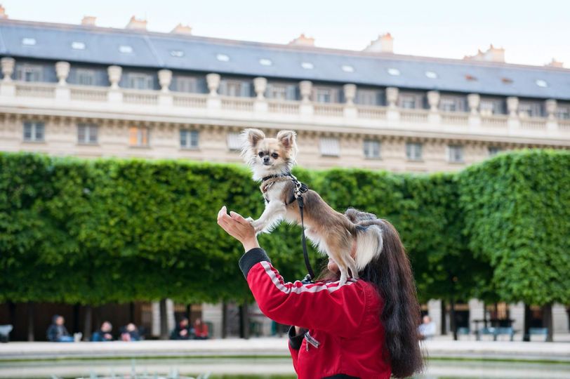 Initial LABO : David Bacher : PARIS / NYC - The Eye of Photography Magazine
