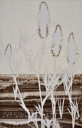 quand les fleurs nous sauvent : Jean-Pierre Sudre : natures ...