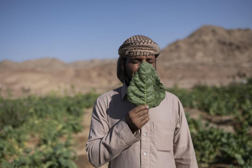 Getty Images announces recipients of annual inclusion grants