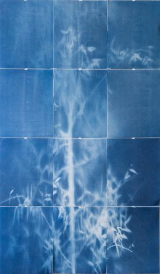 EUQINOM : Eric William Carroll : Field Recordings - The Eye of ...